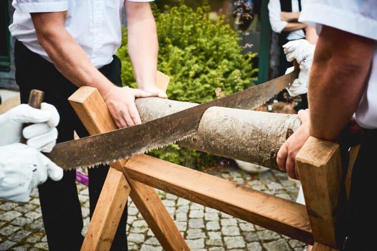 Rip Saw vs Crosscut Saw - Which One Is Better? - HookedOnTool