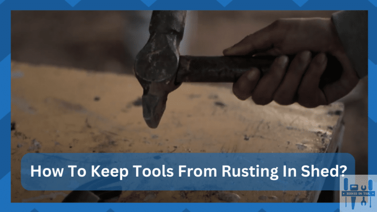 How To Keep Tools from Rusting in A Shed? Try This Easy Guide! - HookedOnTool